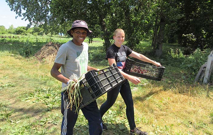 Farm Corps | Eco-Justice Center – Racine, WI